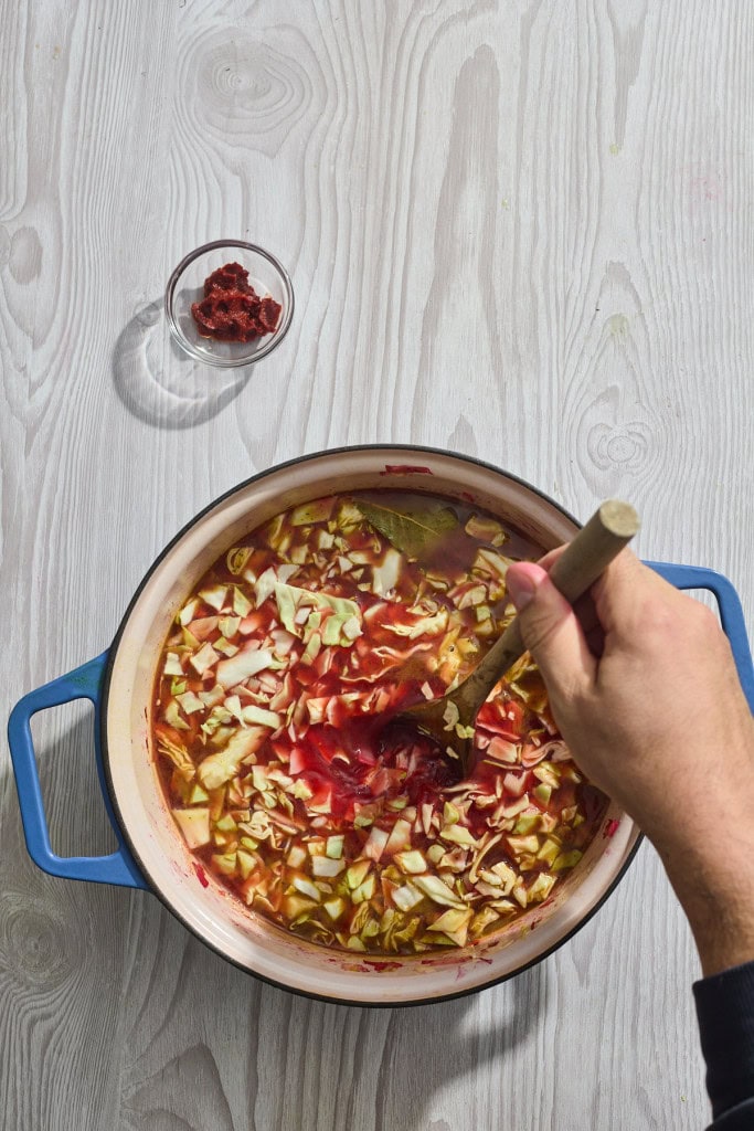 Easy Vegetarian Borscht (Beet Soup) | What Steve Eats