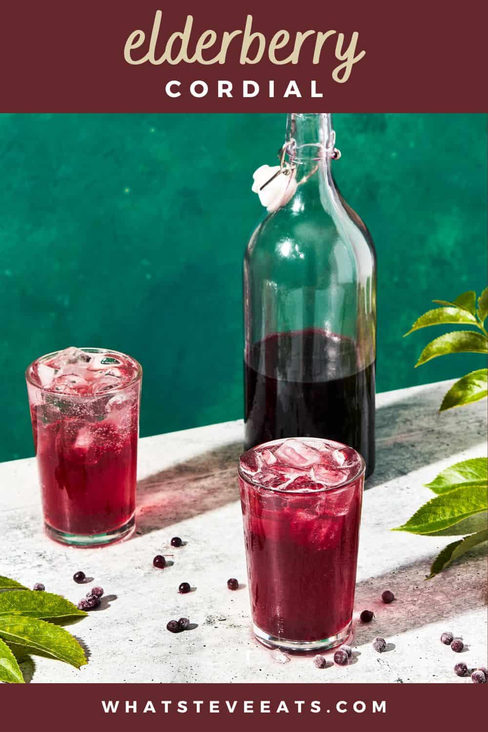 How to Make a Tasty Lemon Balm Lemonade | What Steve Eats